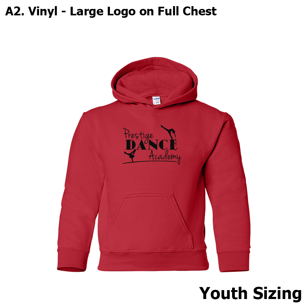 PDA - Gildan Youth Pullover Hoodie [Logo 2]